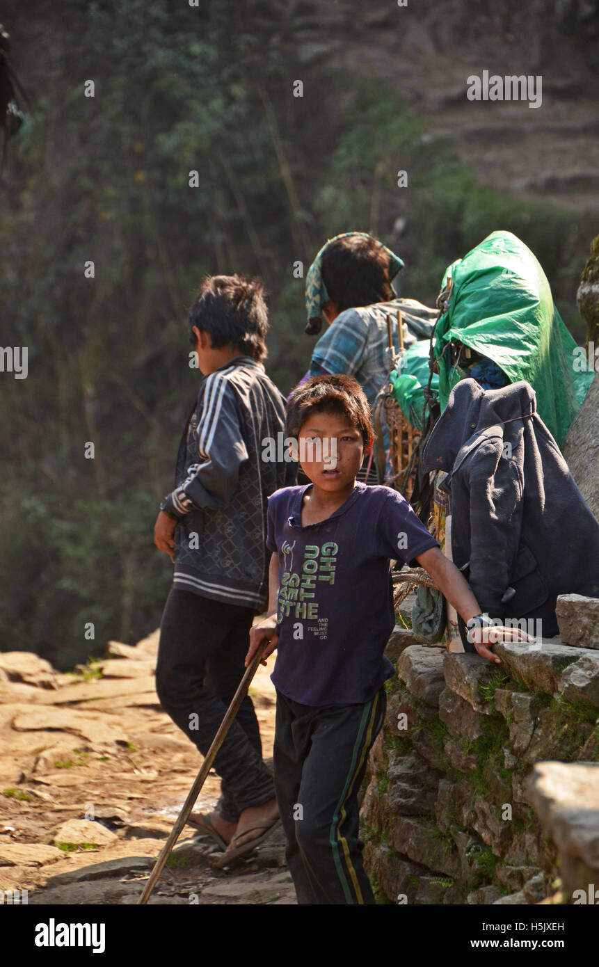 Boys take a rest while carrying a load of meat, near the village of ...