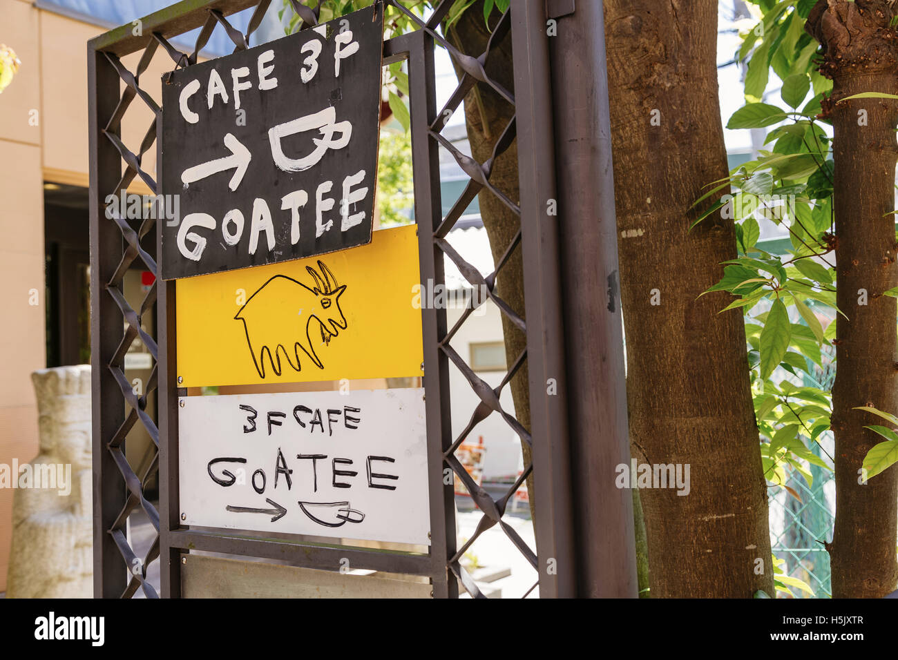 Green Morning Kamakura Cafe Goatee Japan Stock Photo - Alamy