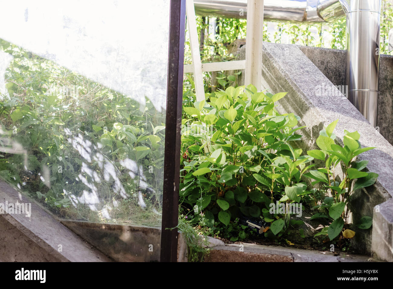 Kamakura Street View Around Kamakura Station Japan Stock Photo - Alamy