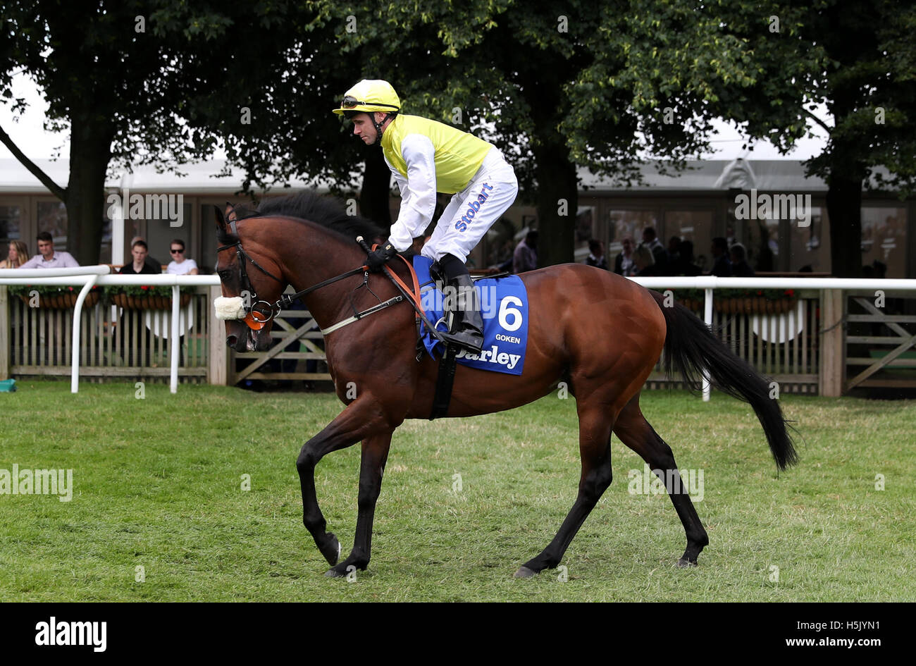 Goken hi-res stock photography and images - Alamy