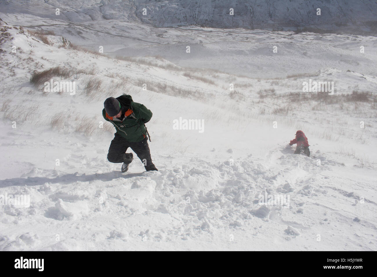 Two mountaineers battle through a blizzard, and snow drifts, towards ...