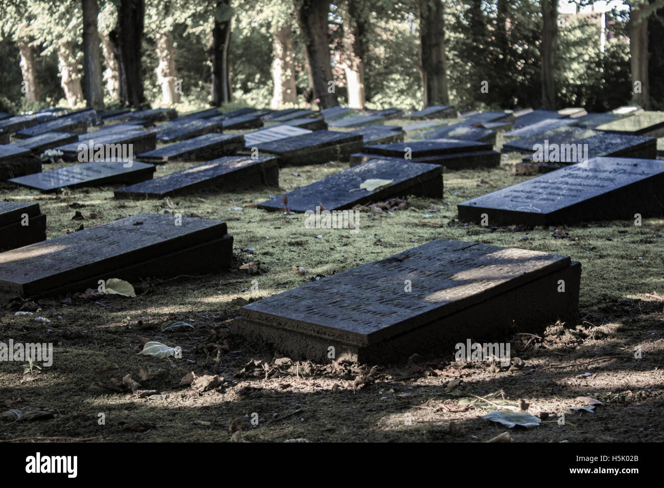 The old graveyard Stock Photo - Alamy