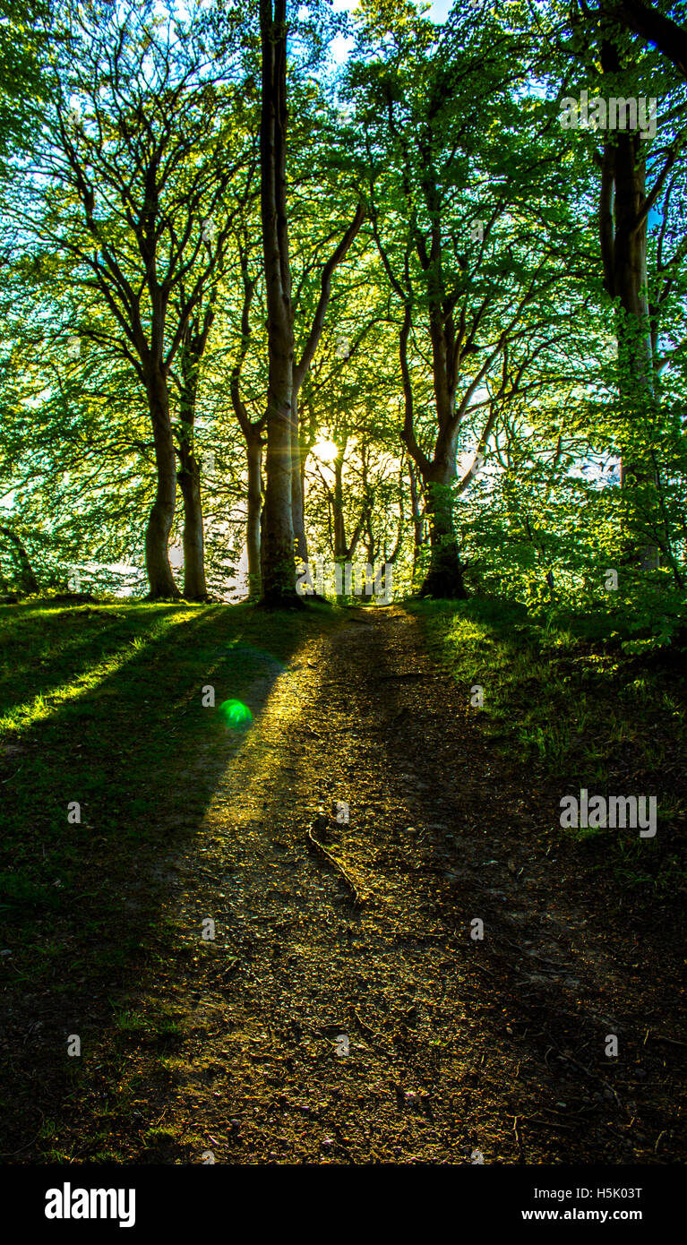 Fall at the old castle Stock Photo - Alamy