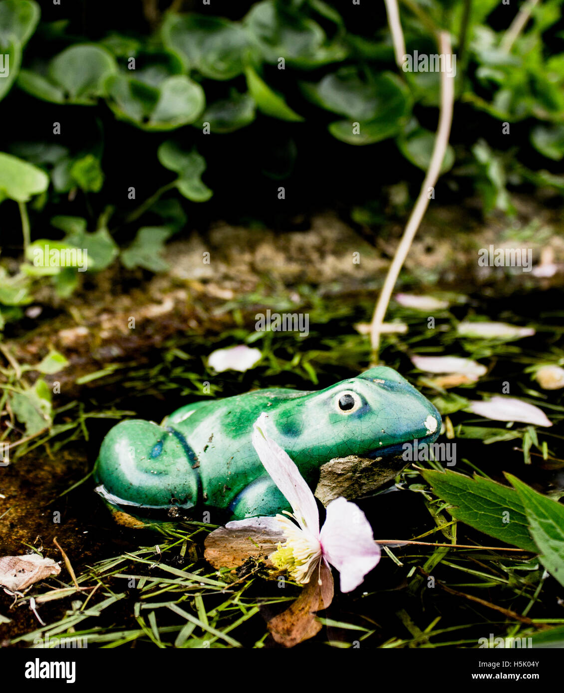 The ceramic frog Stock Photo - Alamy