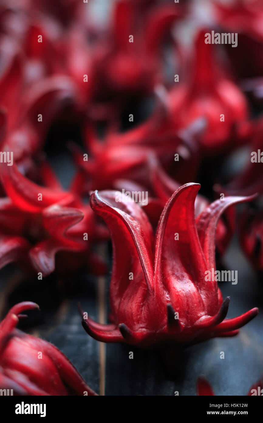 Roselle leaves hi-res stock photography and images - Alamy