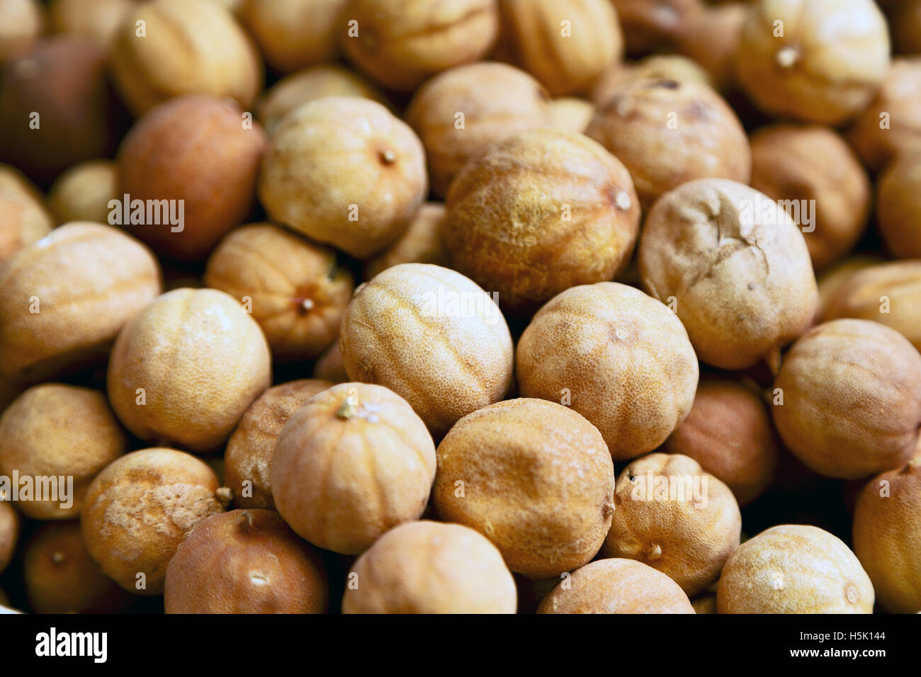 in iran blur typical dry lemon in abstract pattern background flavor ...