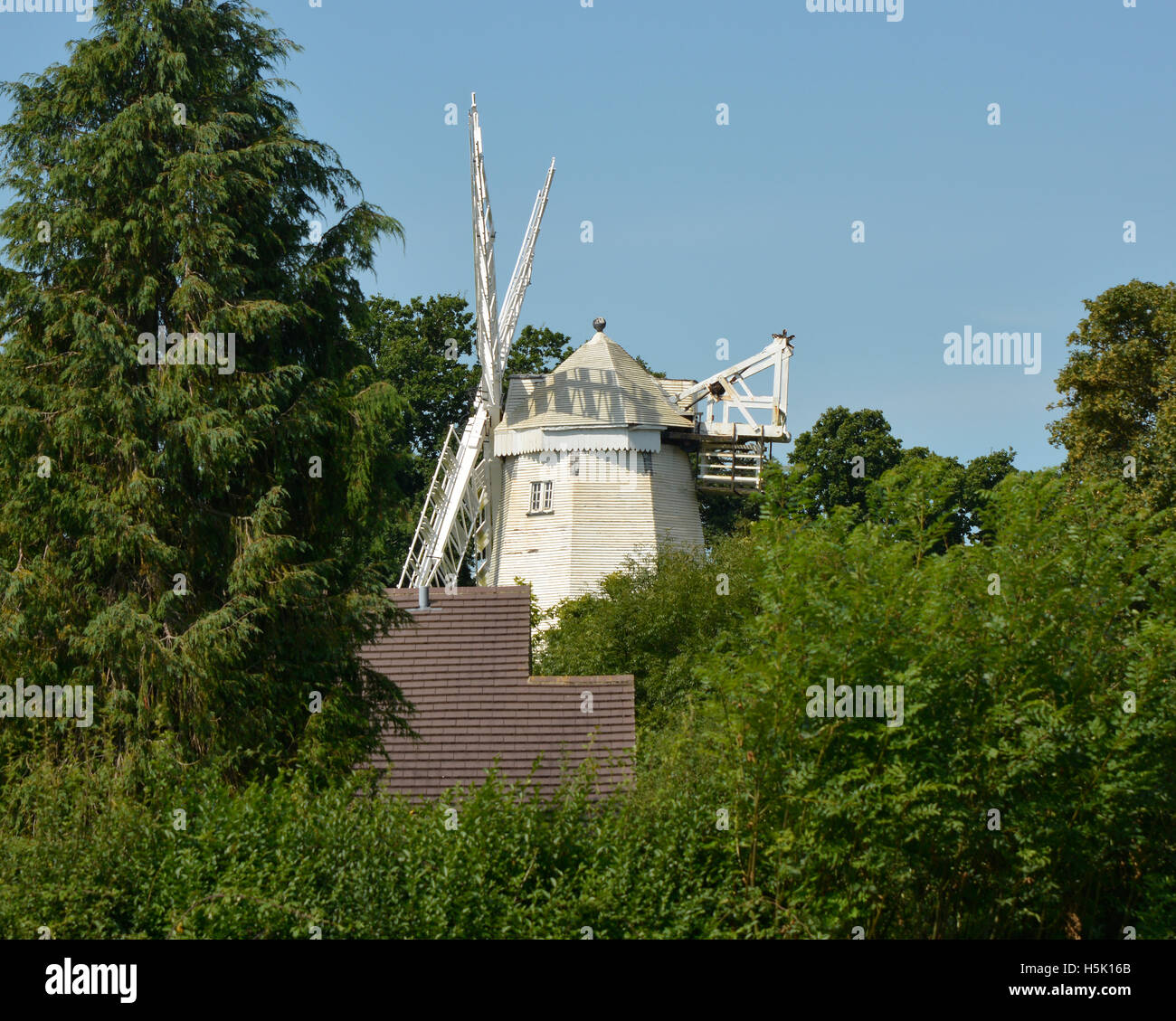 The Windmill at Shipley in West Sussex, England Stock Photo - Alamy