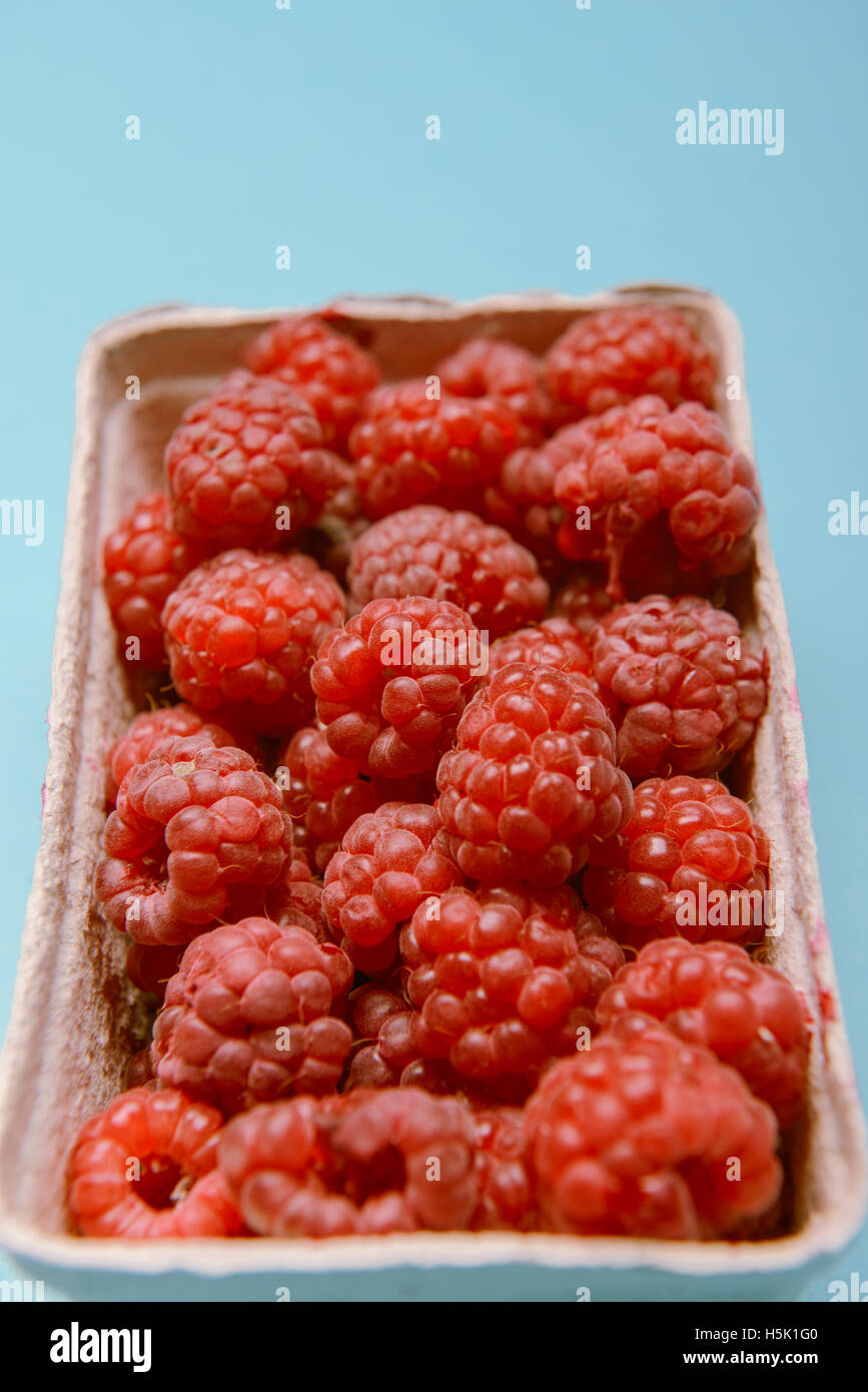 box of fresh raspberries on a blue background Stock Photo - Alamy
