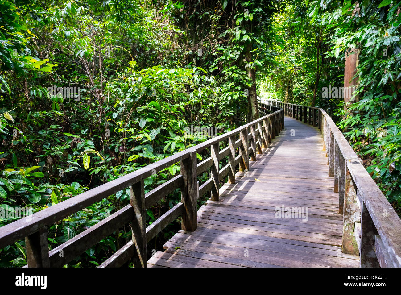 Wooden foodpath hi-res stock photography and images - Alamy