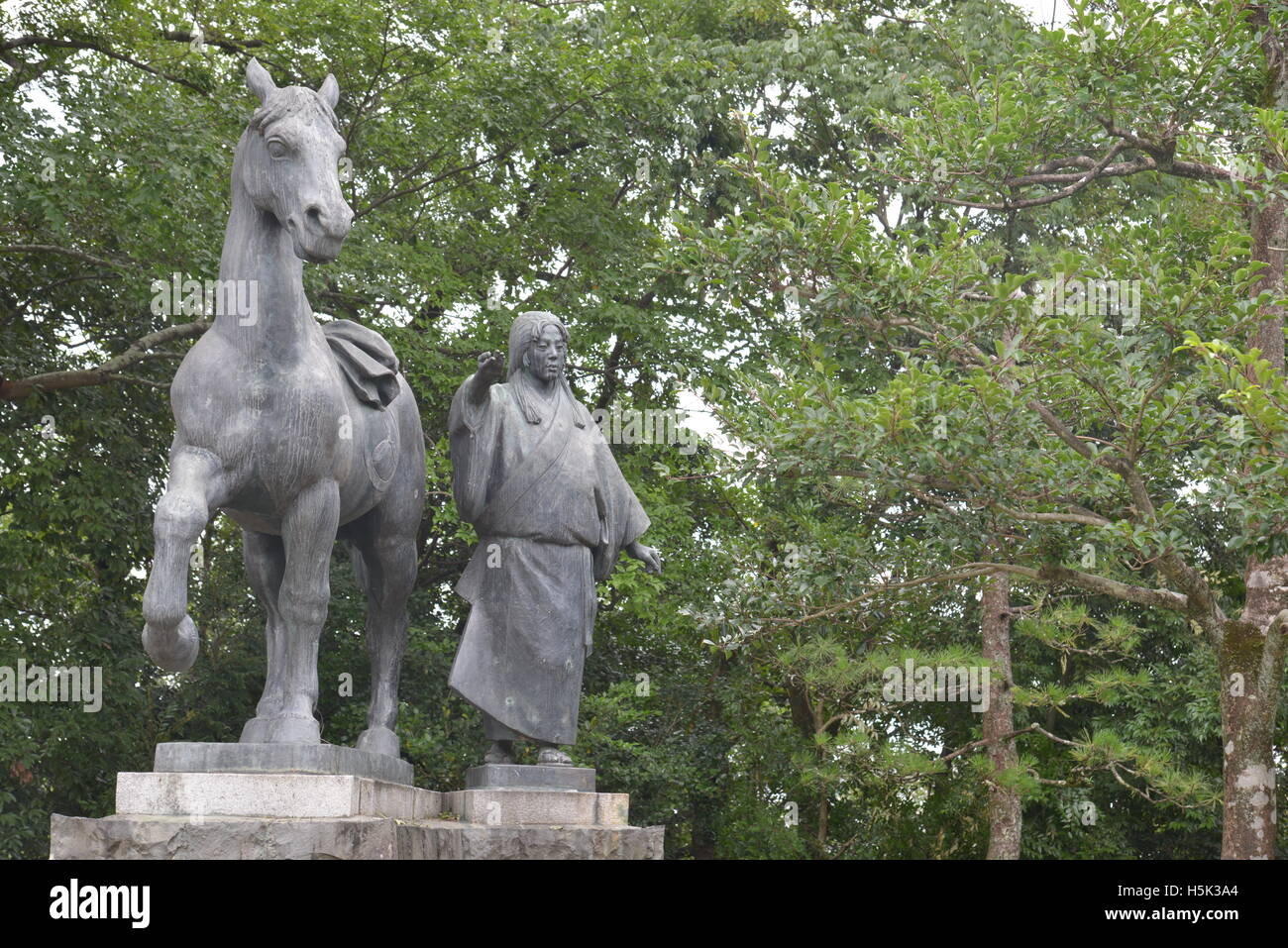 Spot Kochi Castle Japan Stock Photo - Alamy