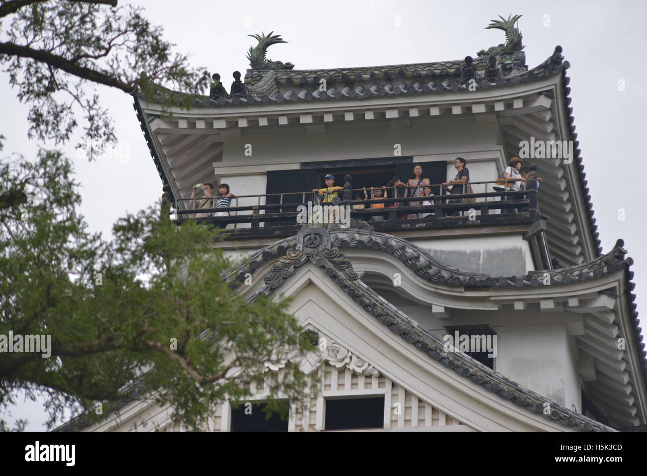 Spot Kochi Castle Japan Stock Photo - Alamy