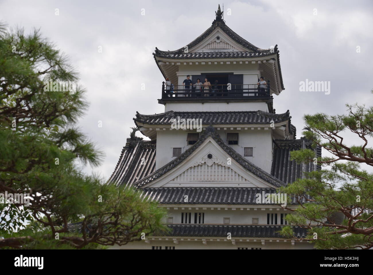 Spot Kochi Castle Japan Stock Photo - Alamy