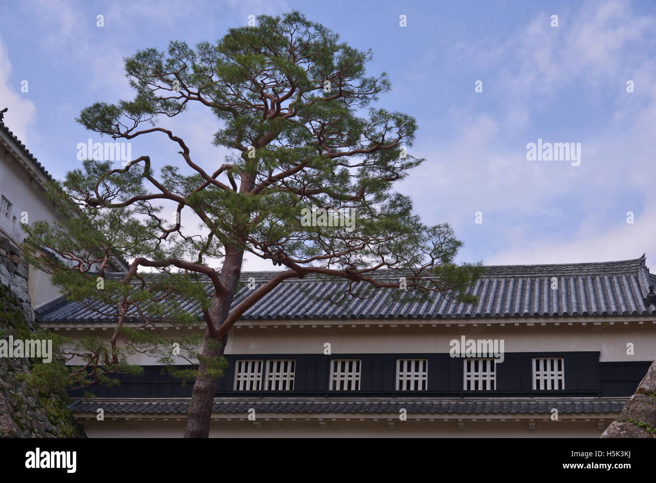 Spot Kochi Castle Japan Stock Photo - Alamy