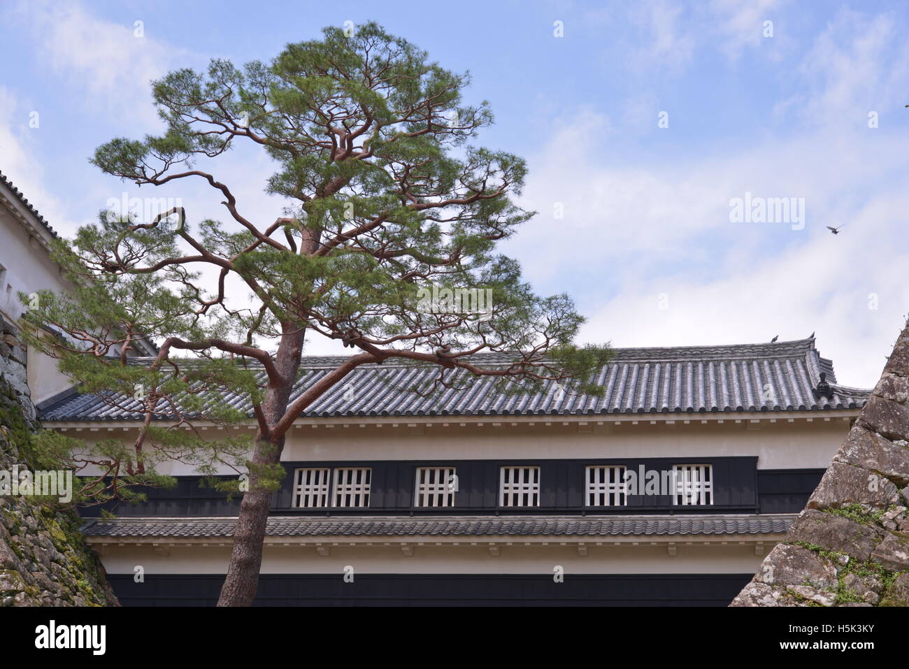 Spot Kochi Castle Japan Stock Photo - Alamy