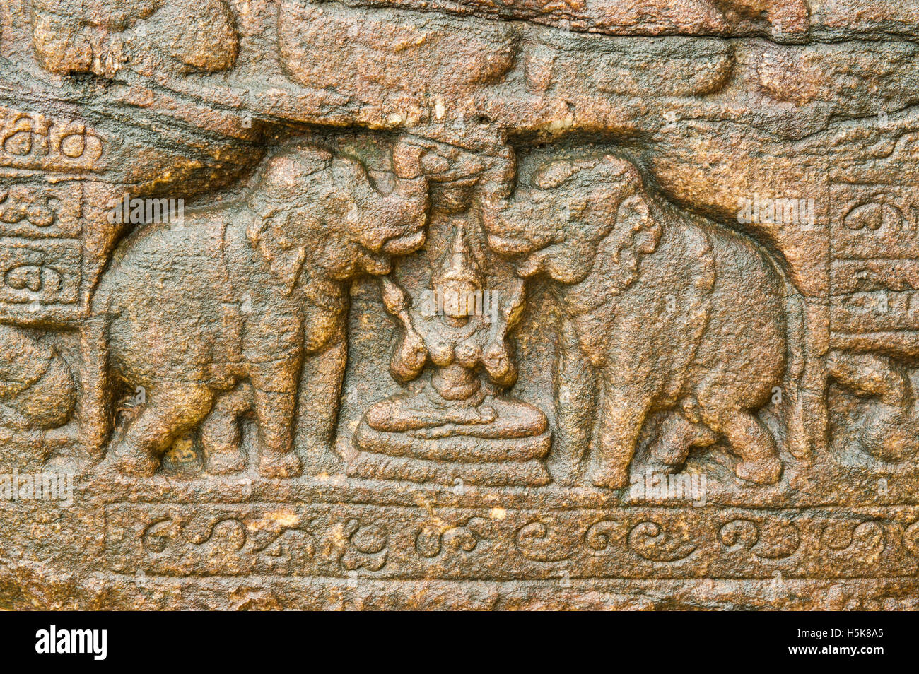 Sri lankan book hi-res stock photography and images - Alamy