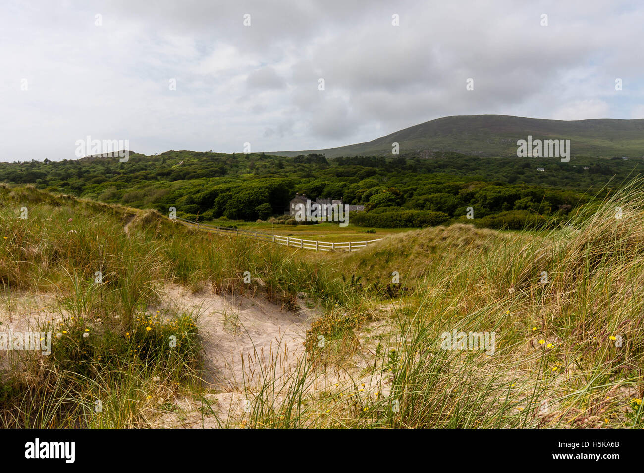 Derrynane National Park Stock Photo - Alamy