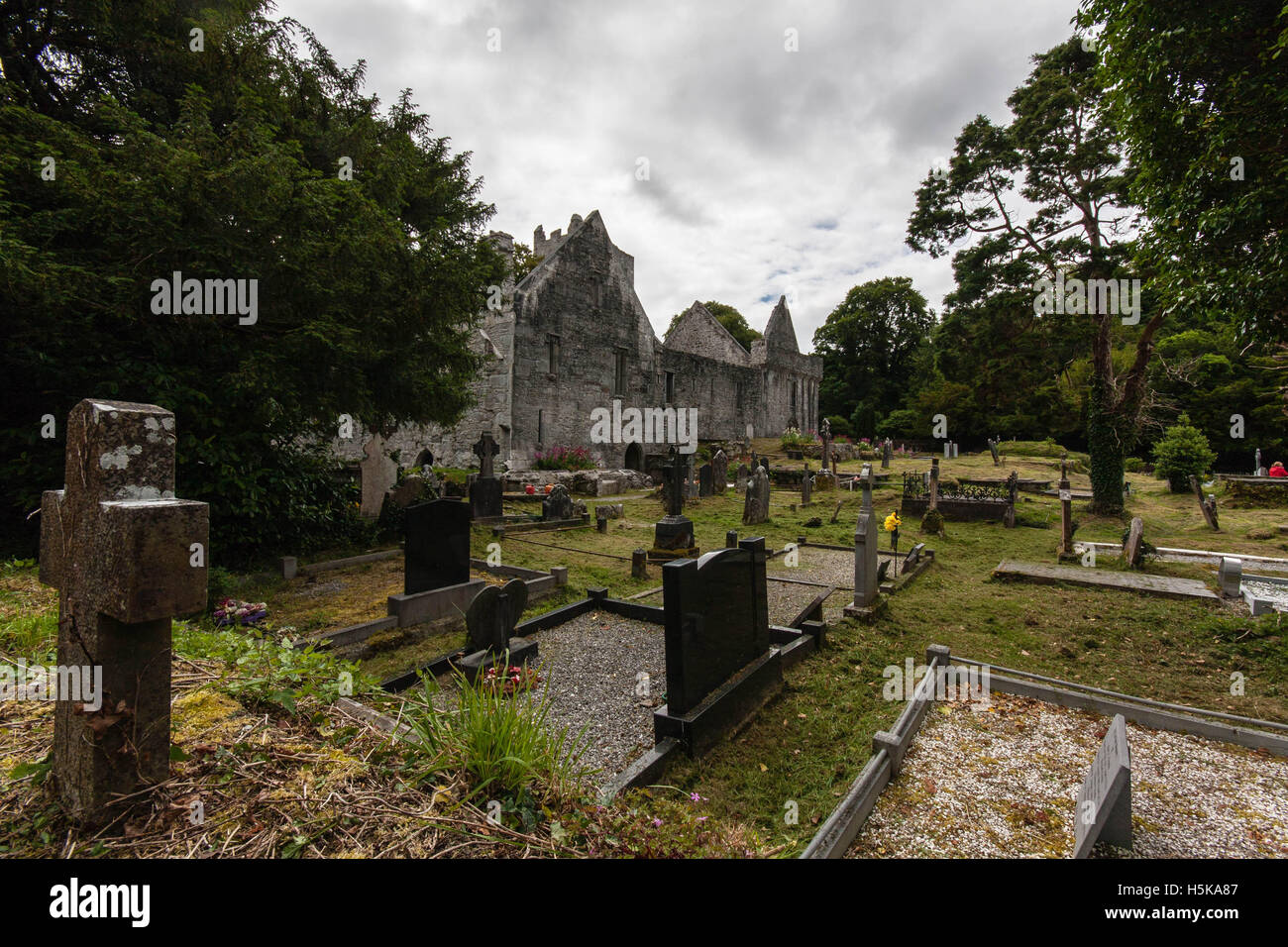 Muckross Abbey Killarney Stock Photo - Alamy