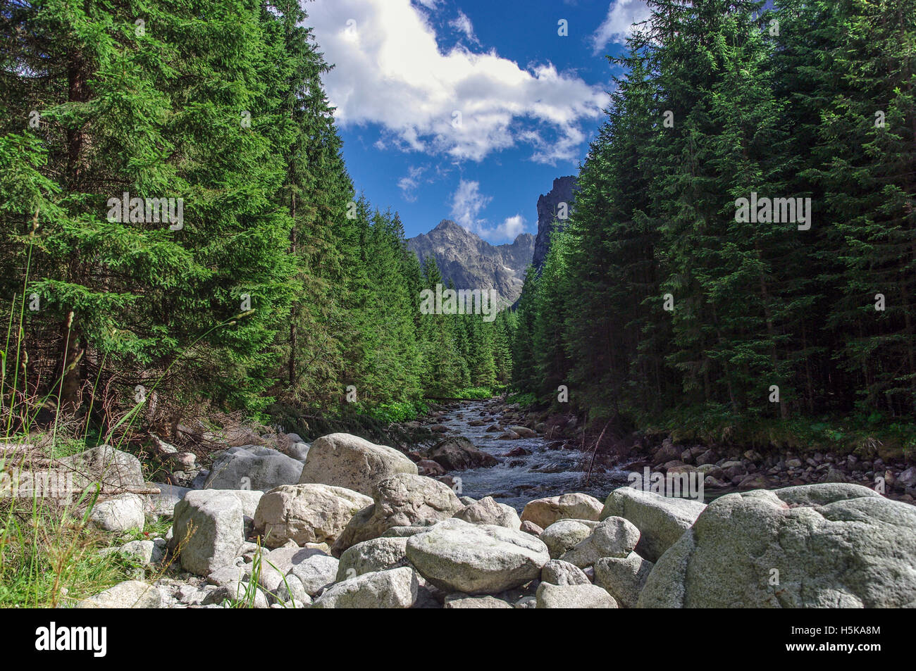 Beautiful scenery of High Tatra mountains. Slovakia Stock Photo - Alamy