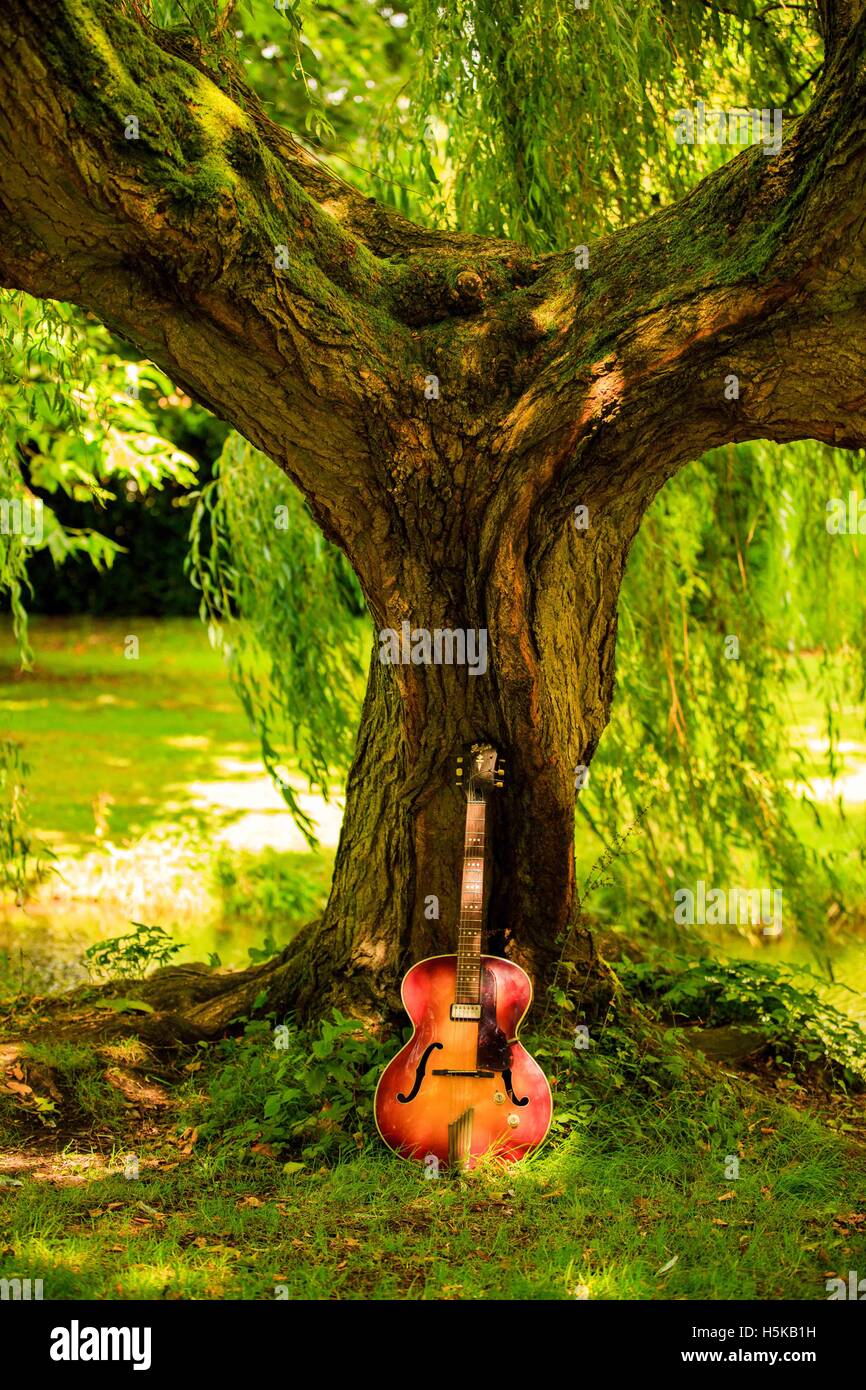 Guitar and music under a tree hi-res stock photography and images - Alamy