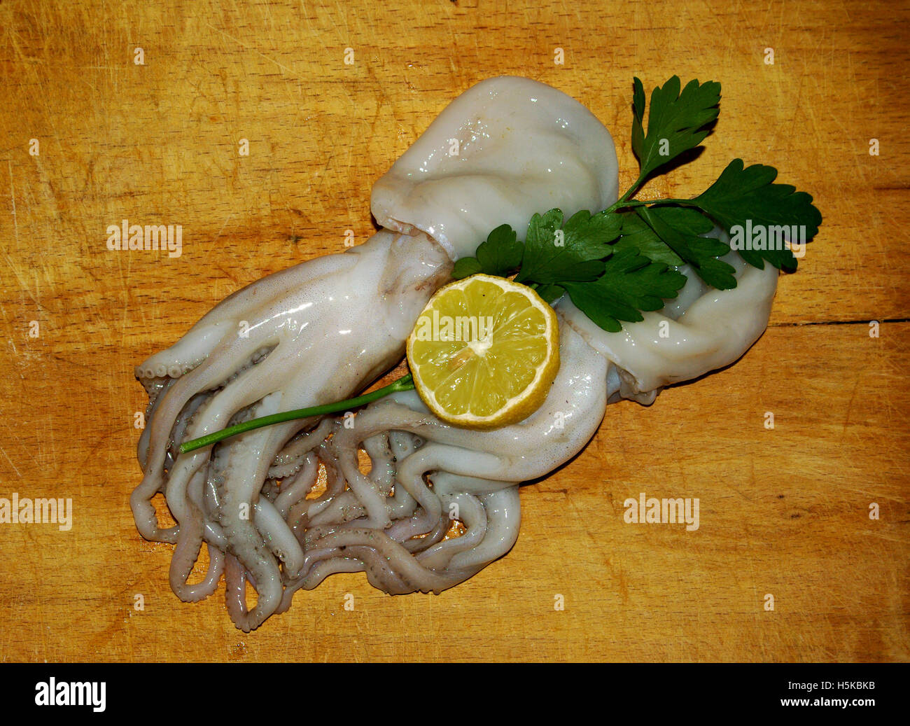 Octopuss hi-res stock photography and images - Alamy