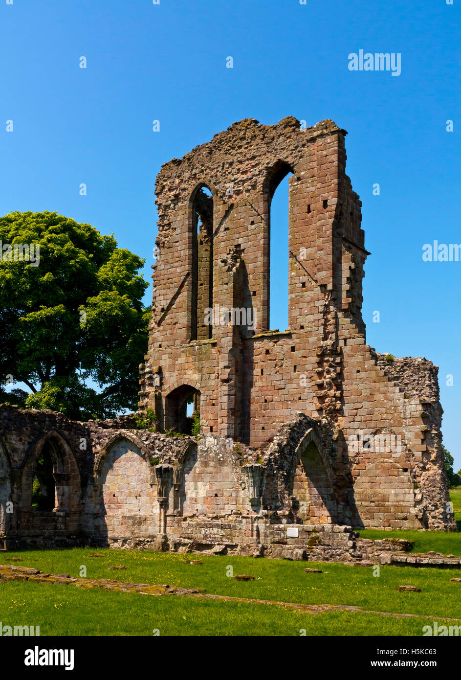Ruins of Croxden Abbey Staffordshire England UK Cistercian Monastery ...