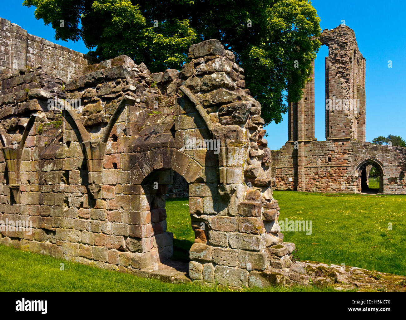 Ruins of Croxden Abbey Staffordshire England UK Cistercian Monastery ...