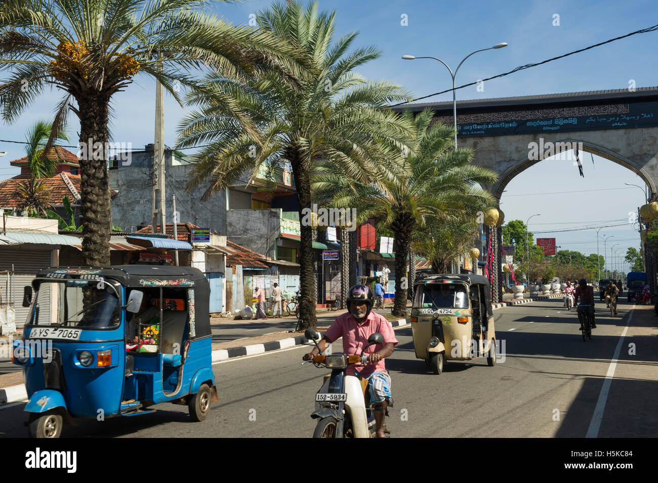 Palm-lined arched avenue at the gateway of Kattankudy, Sri Lanka Stock ...