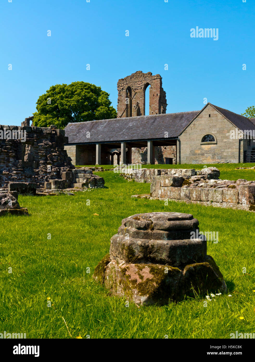 Ruins of Croxden Abbey Staffordshire England UK Cistercian Monastery ...