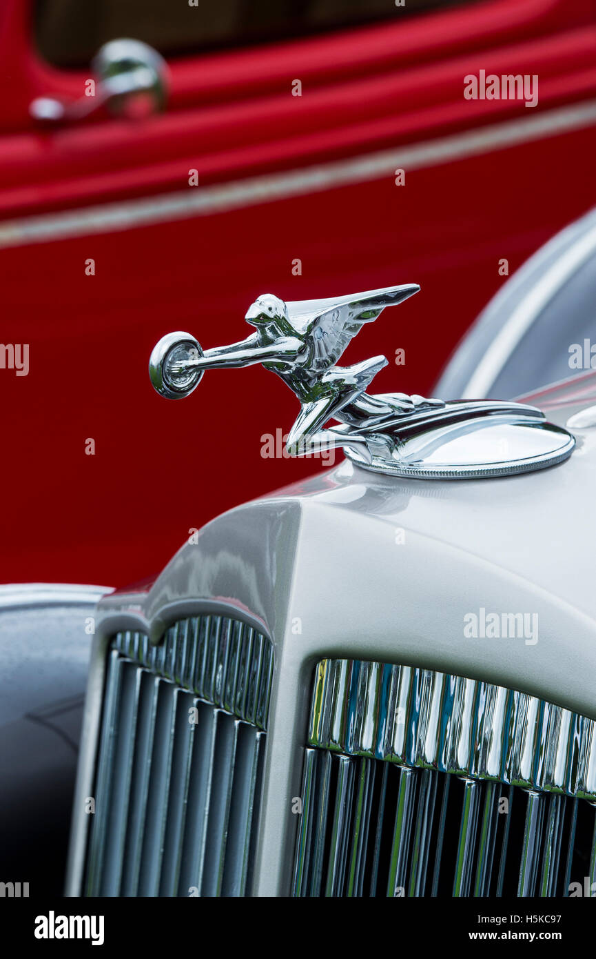 Packard Car Logo High Resolution Stock Photography and Images - Alamy