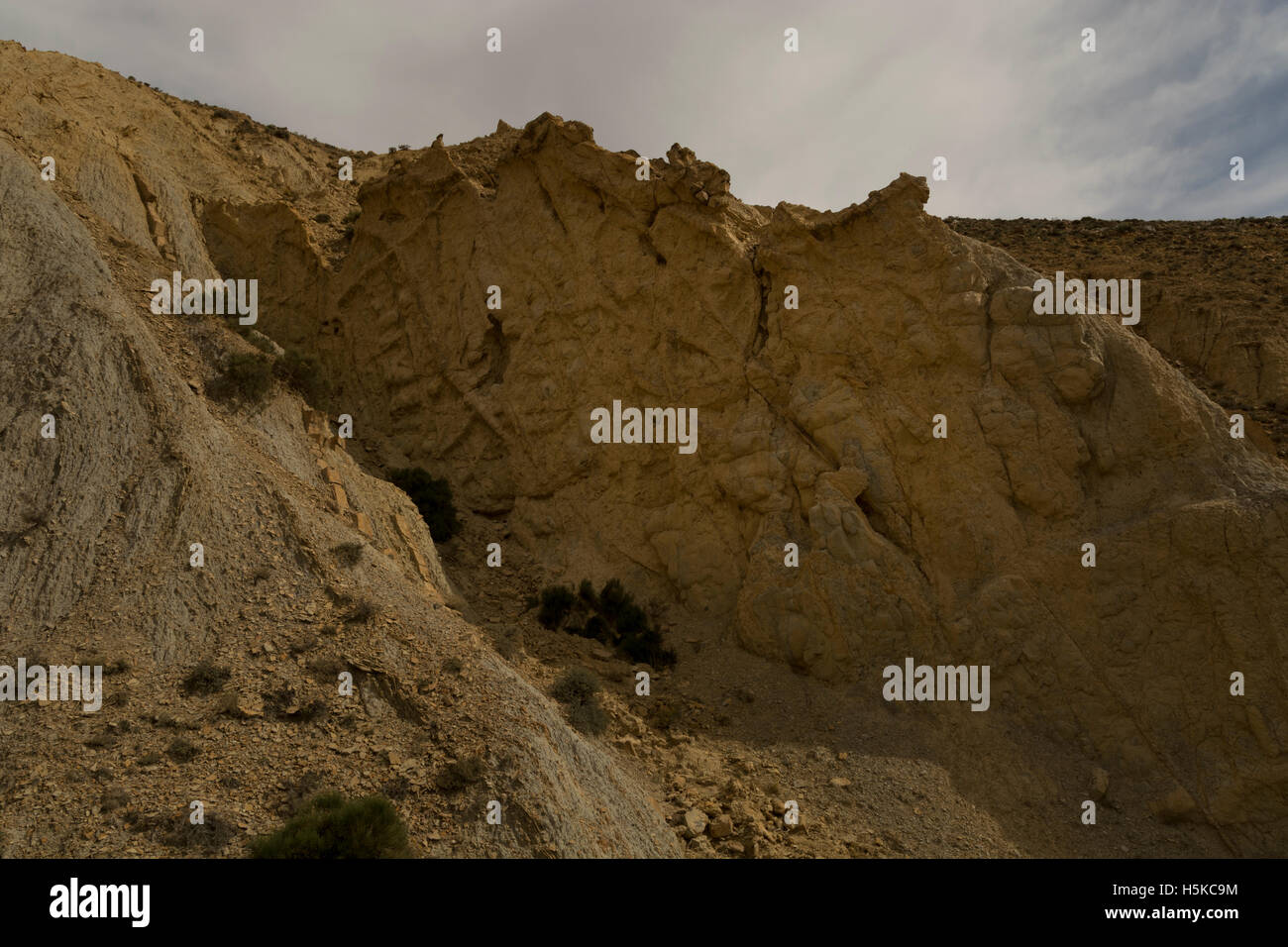 Fossil tracks. Bueña. Comarca del Jiloca. Teruel. Spain Stock Photo - Alamy