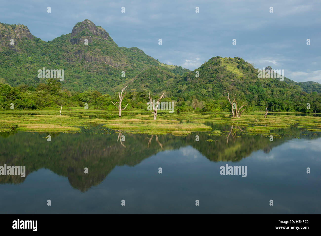 Lake in mountain scenery, Gal Oya National Park, Sri Lanka Stock Photo ...