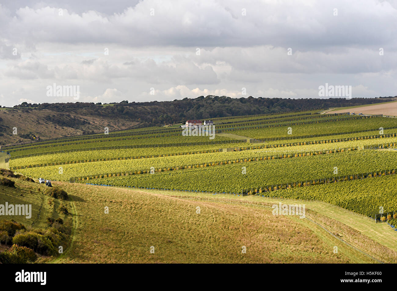 Rathfinny sparkling wine hi-res stock photography and images - Alamy