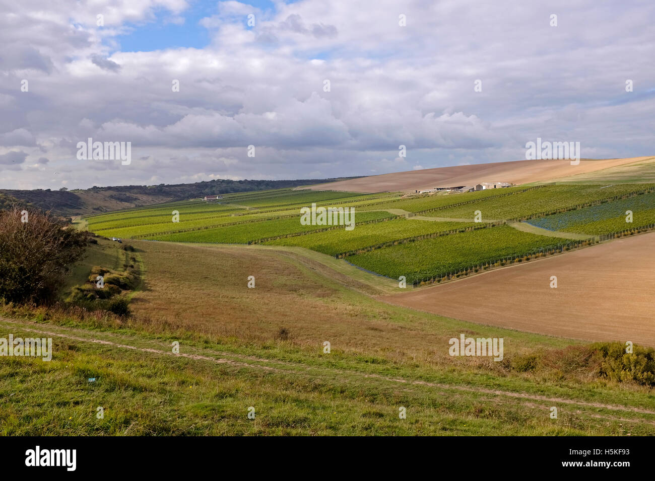 Rathfinny estate uk hi-res stock photography and images - Alamy