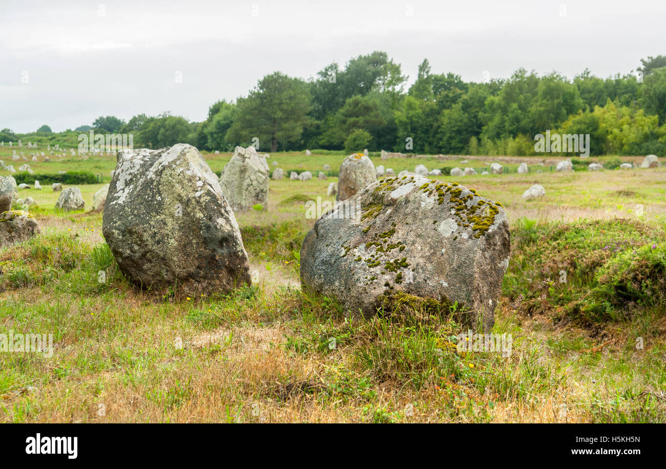scenery around the Carnac stones, a megalithic site in Brittany, France ...