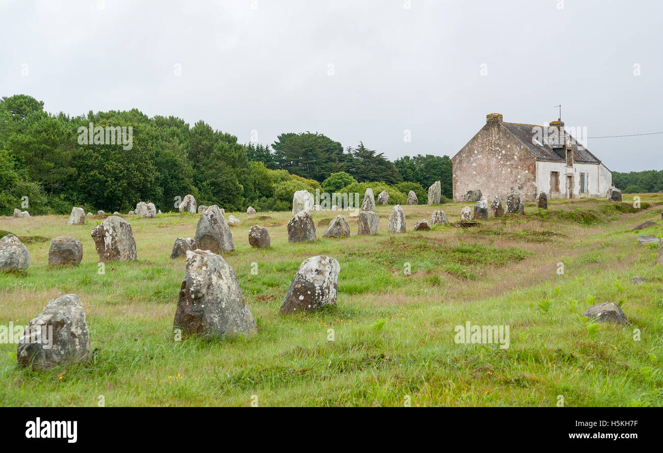 scenery around the Carnac stones, a megalithic site in Brittany, France ...
