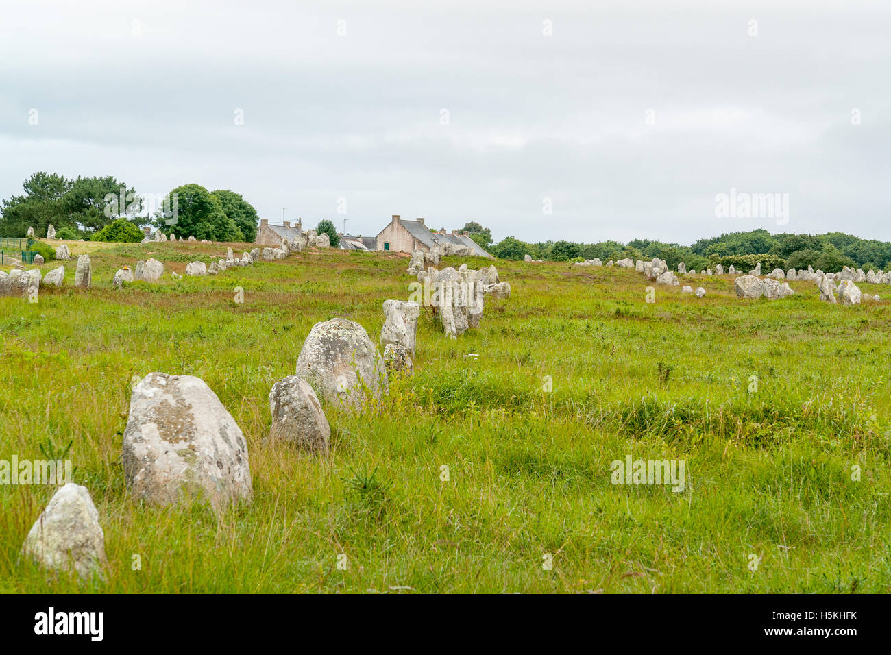 scenery around the Carnac stones, a megalithic site in Brittany, France ...