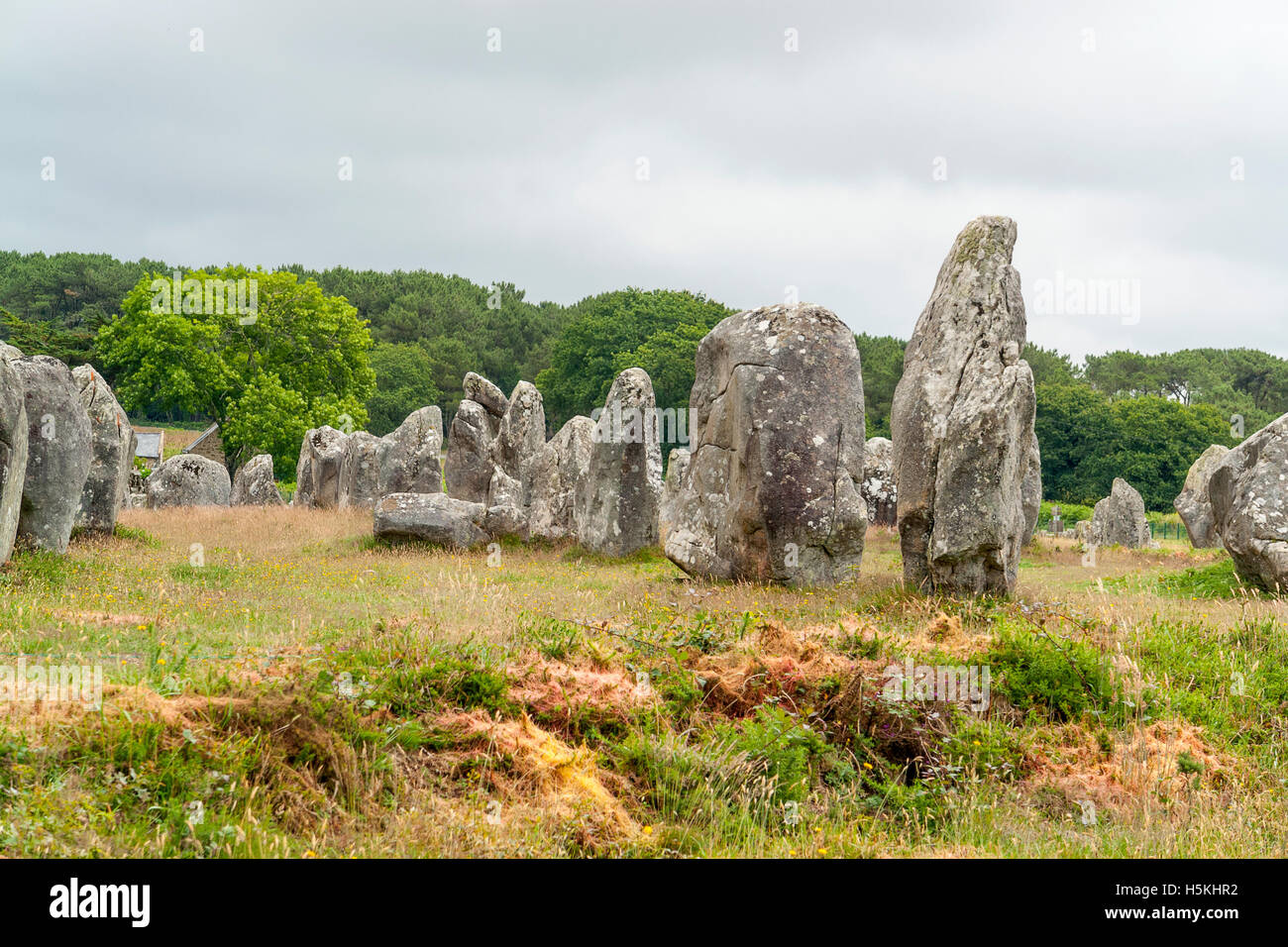 scenery around the Carnac stones, a megalithic site in Brittany, France ...