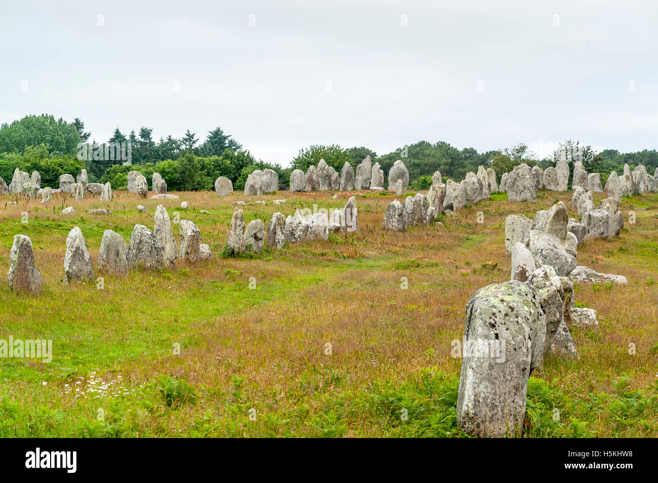 scenery around the Carnac stones, a megalithic site in Brittany, France ...