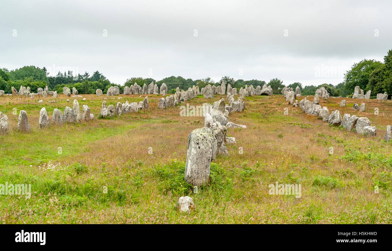 scenery around the Carnac stones, a megalithic site in Brittany, France ...