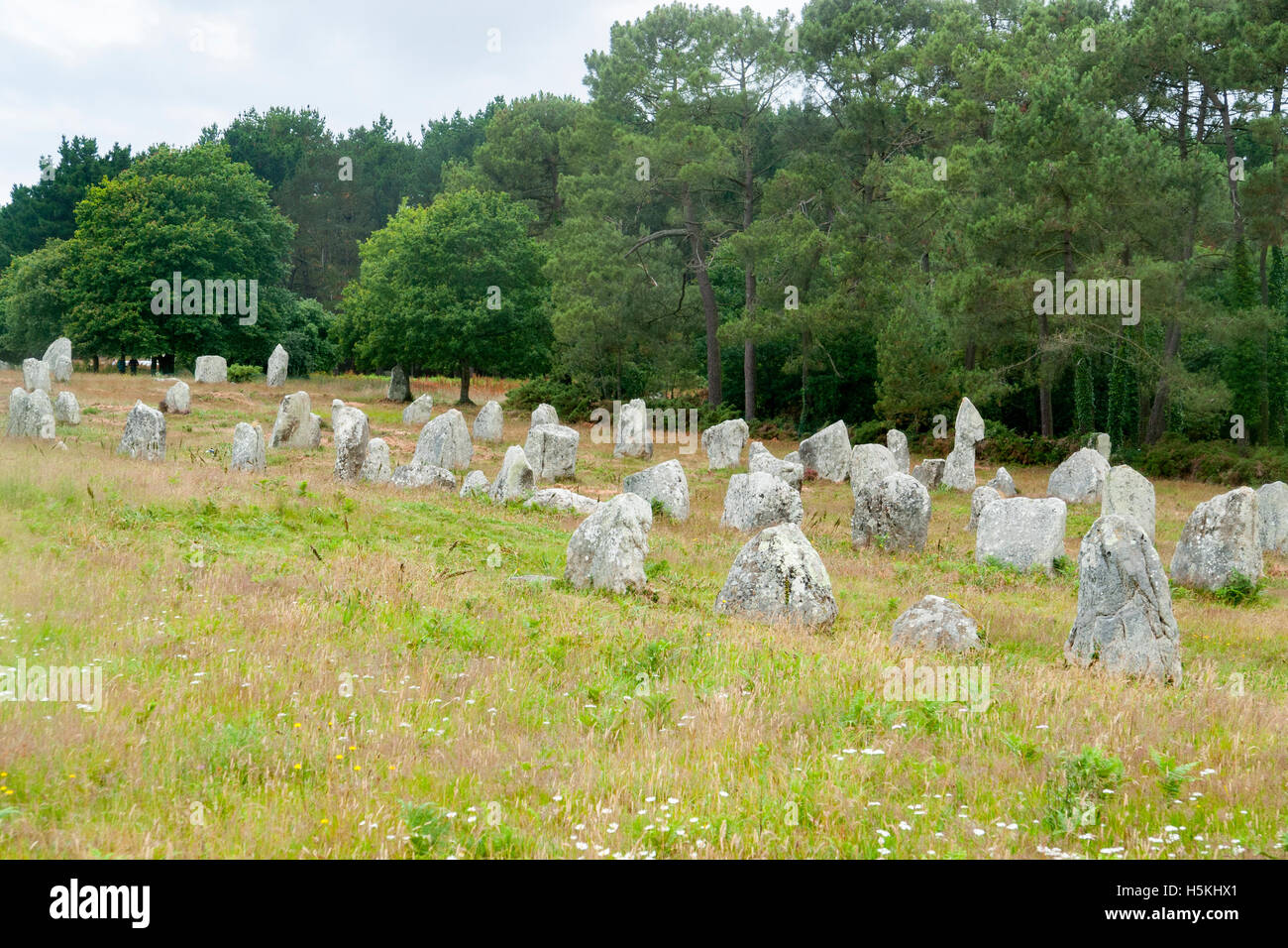 scenery around the Carnac stones, a megalithic site in Brittany, France ...