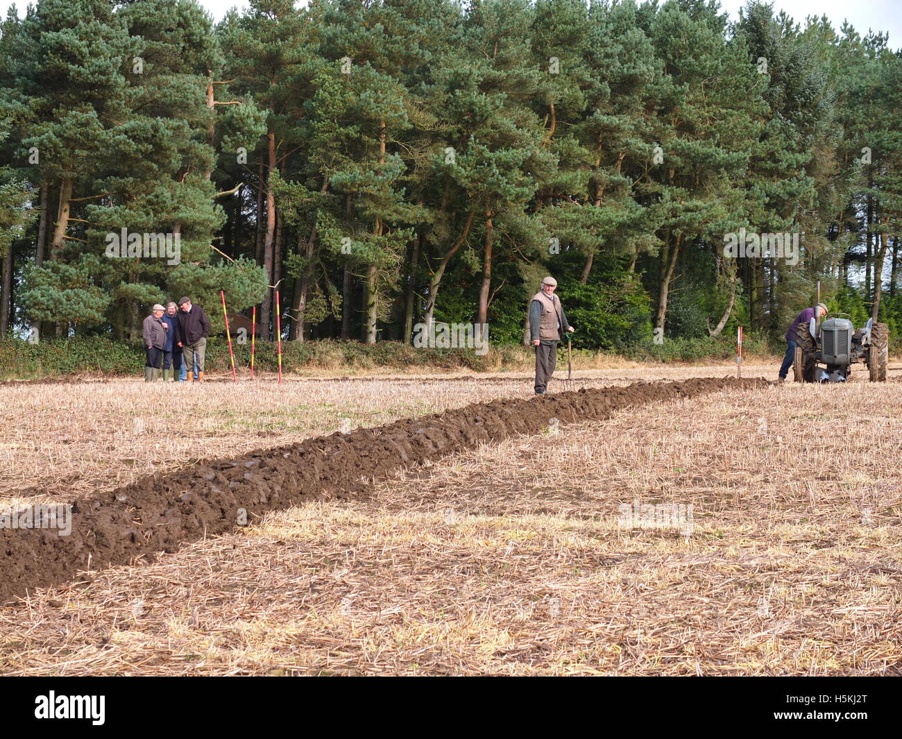 Farmer inspecting a furrow at Ashover Ploughing Match, held at ...