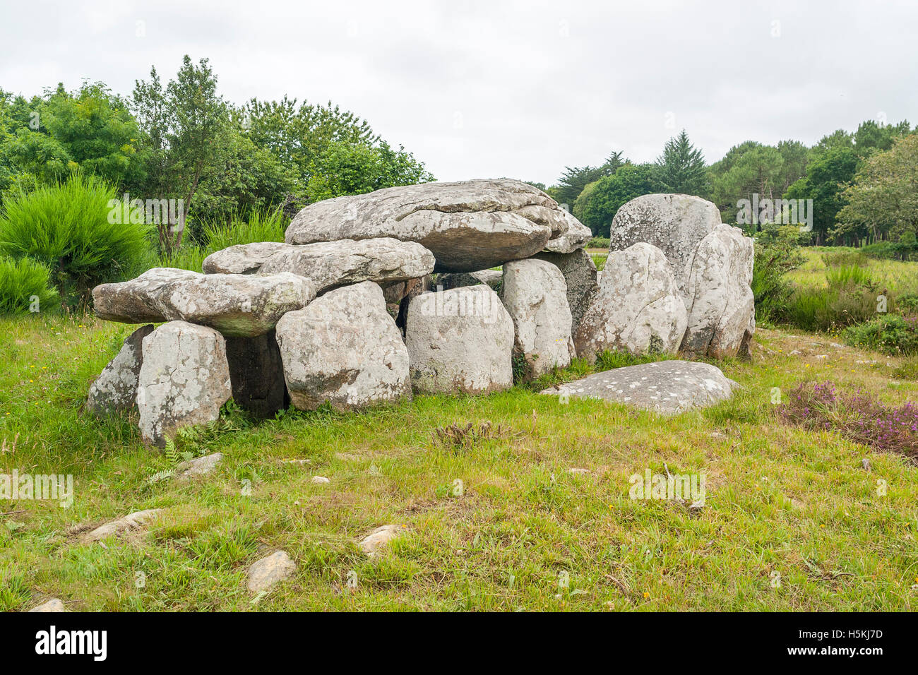 a dolmen near Carnac in Brittany, France Stock Photo - Alamy