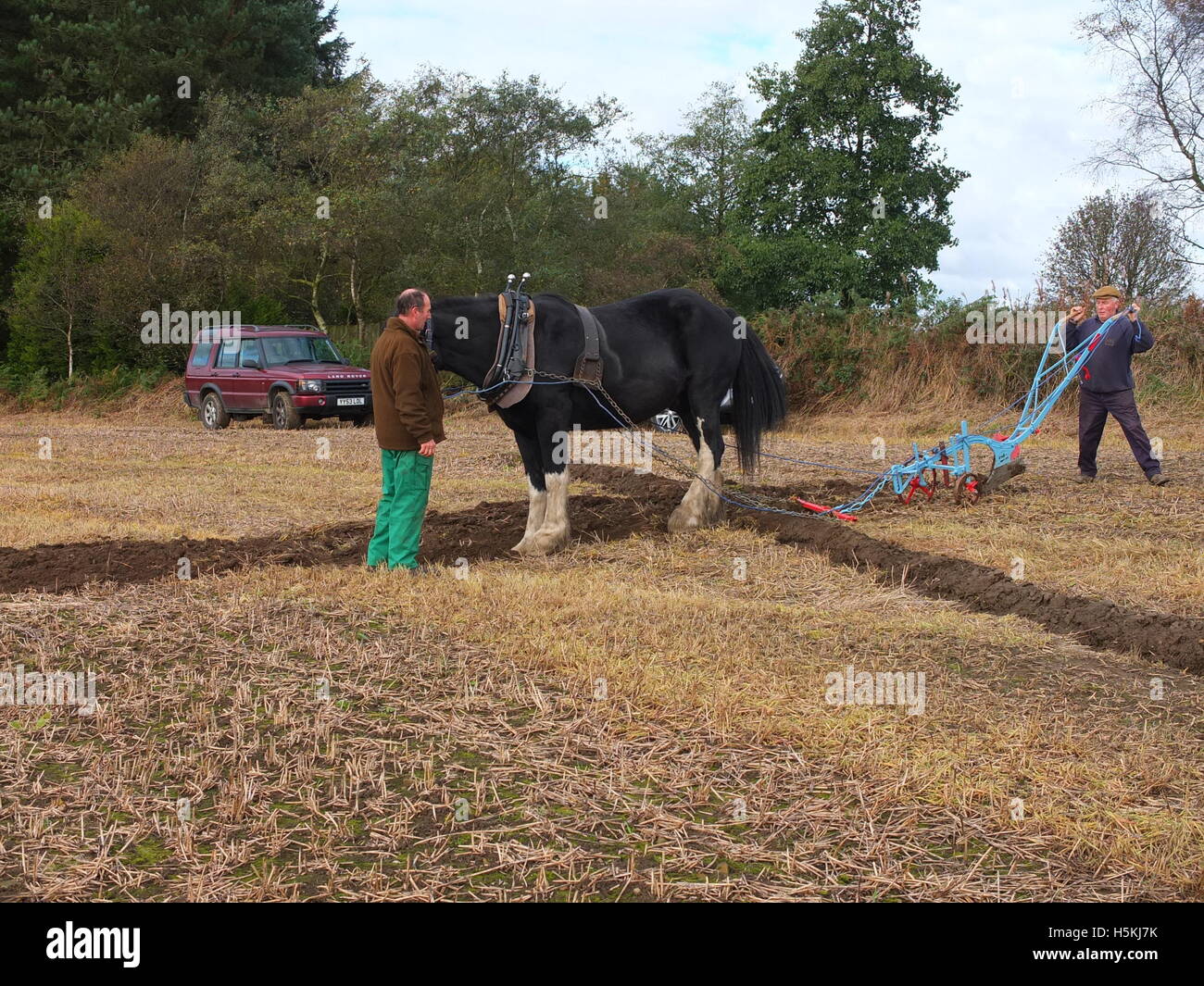 Shire horse horse drawn plough hi-res stock photography and images - Alamy