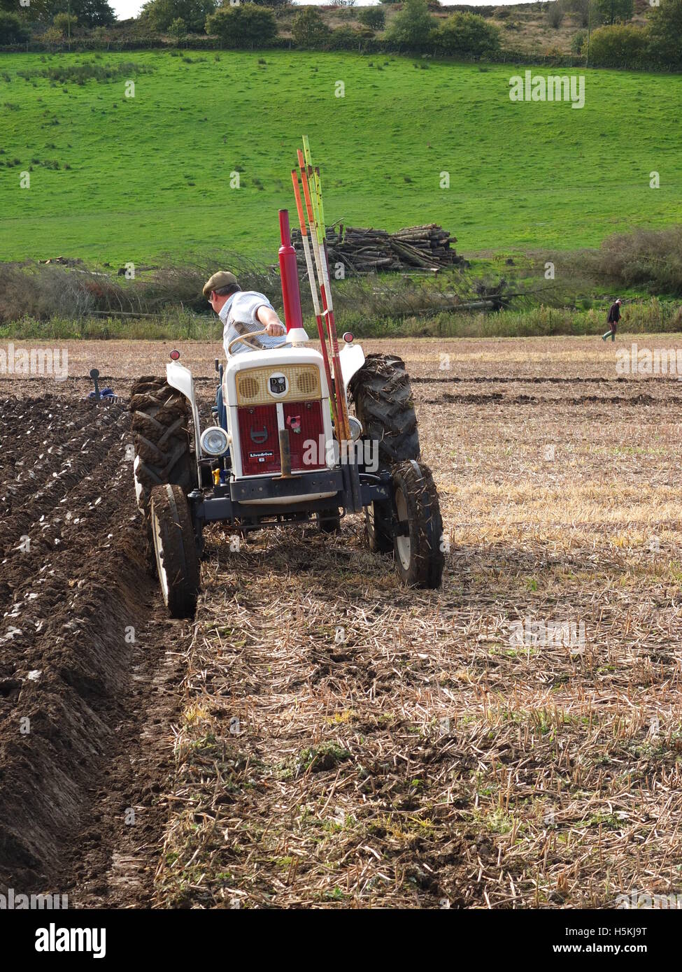 Farmer inspecting furrows as he ploughs at Ashover Ploughing Match ...