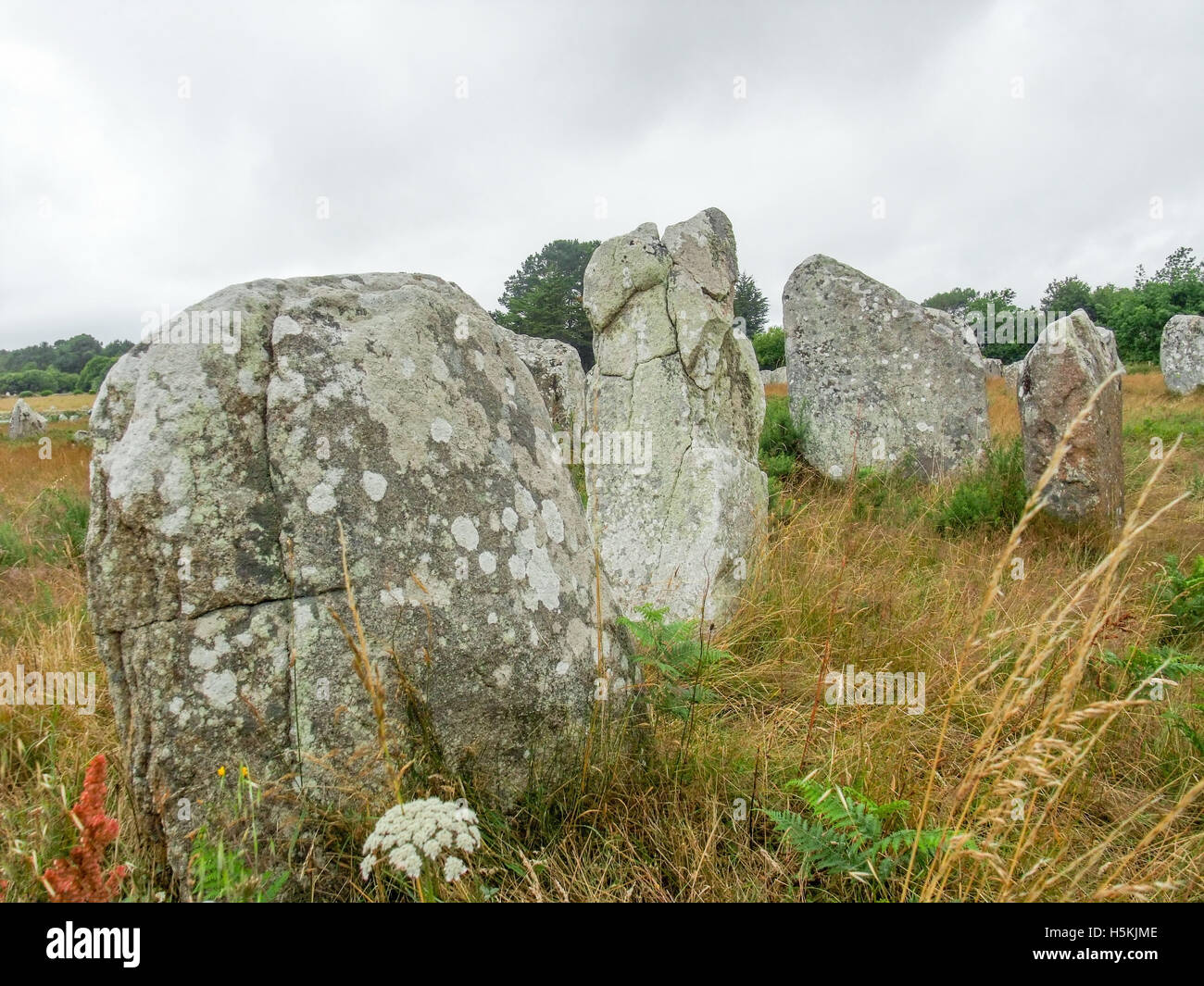 scenery around the Carnac stones, a megalithic site in Brittany, France ...