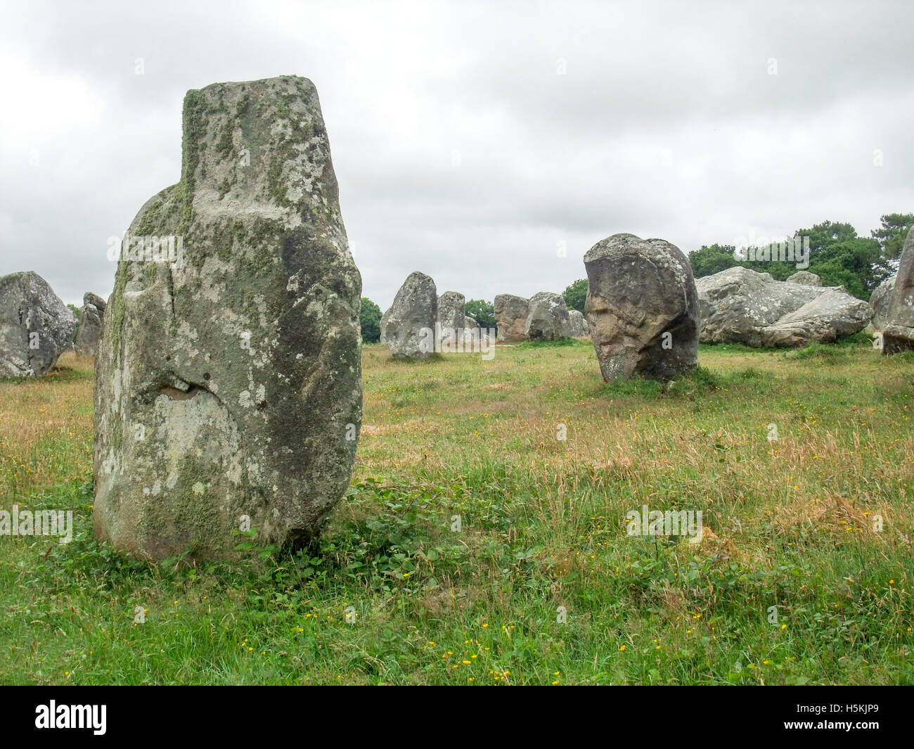 scenery around the Carnac stones, a megalithic site in Brittany, France ...
