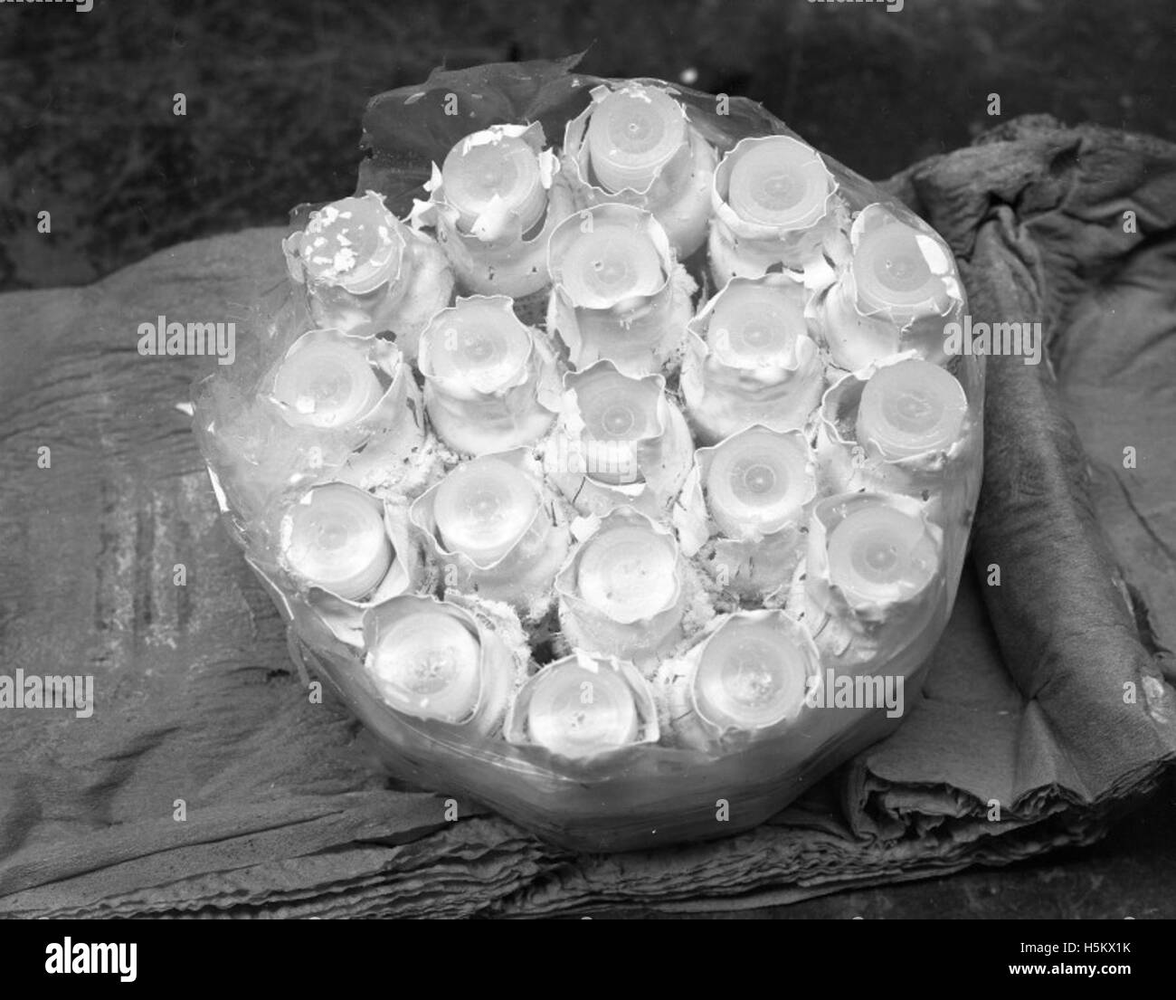 A negative image from the Atlas Collection, preserving a historical ...