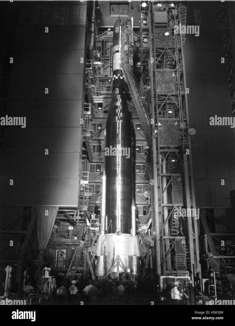 A photograph from the Atlas Collection, depicting a preserved ...
