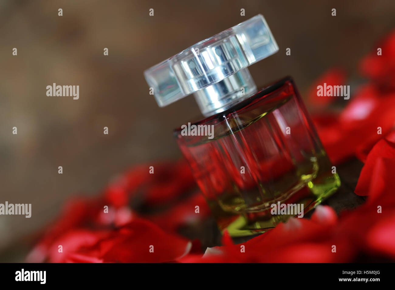 perfume bottle and petals Stock Photo - Alamy