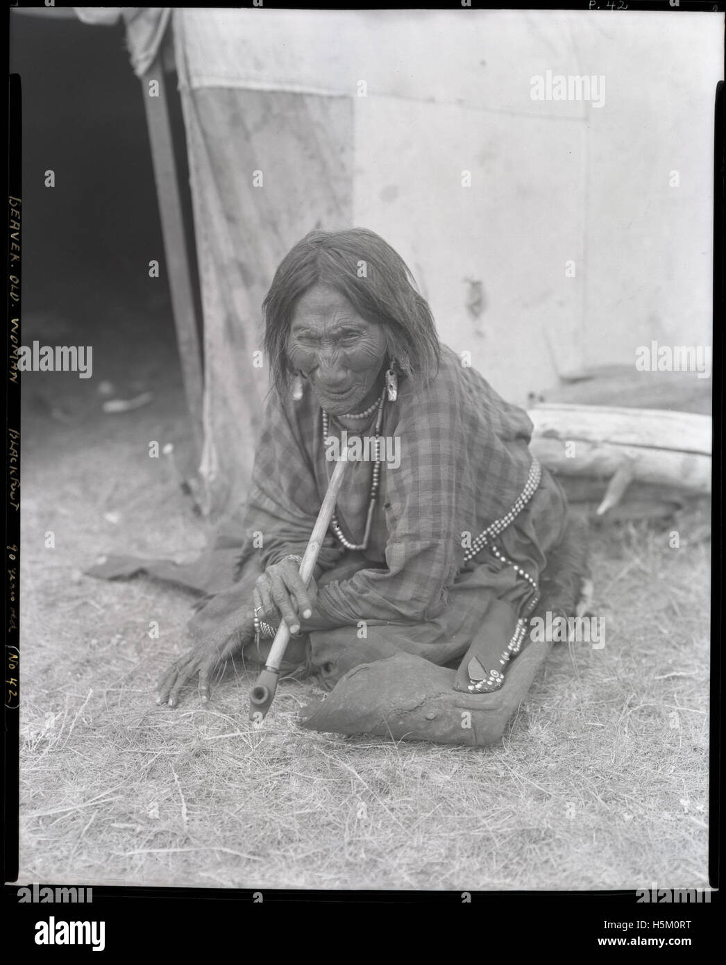 This portrait depicts Beaver Old Woman, a member of the Siksika Nation ...